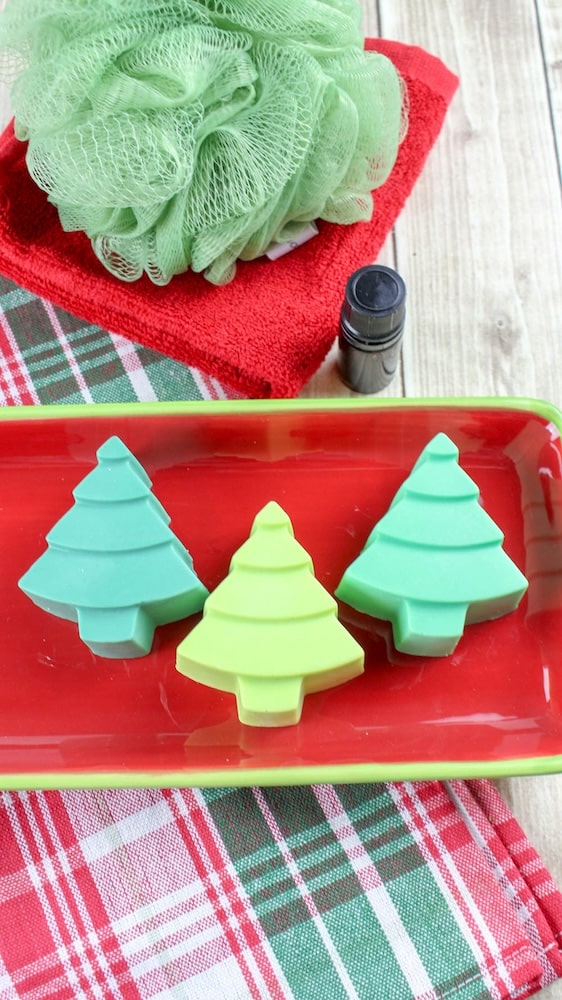 Handmade Pine Tree Scented Hand Soap | Wisconsin Mommy