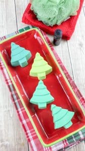 Handmade Pine Tree Scented Hand Soap | Wisconsin Mommy