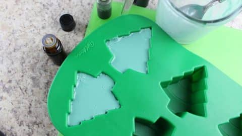 Handmade Pine Tree Scented Hand Soap | Wisconsin Mommy